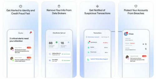 Best Identity Theft Protection In 2024: IDShield vs LifeLock vs ...