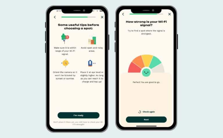 Bird Buddy Review: Smart Bird Feeder & Camera - Safe Smart Living