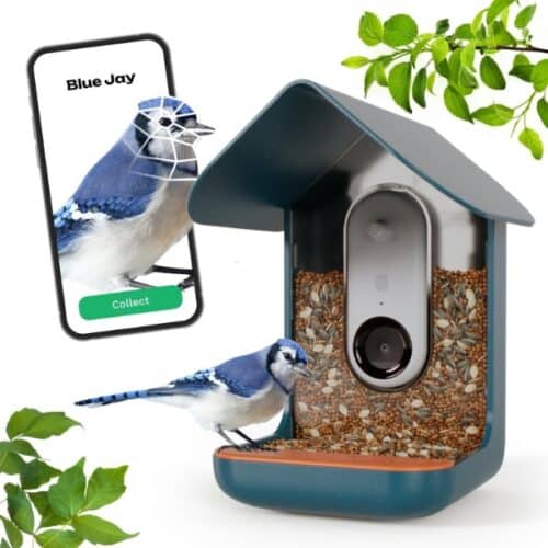 Bird Buddy Review: Smart Bird Feeder & Camera - Safe Smart Living