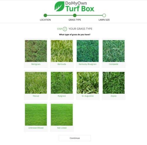 Best DIY Lawn Care Program: Sunday vs Lawnbright vs Turf Box - Safe ...