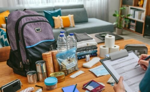 Bug Out Bag List 2024 (Printable): Essentials For Surviving The Next ...